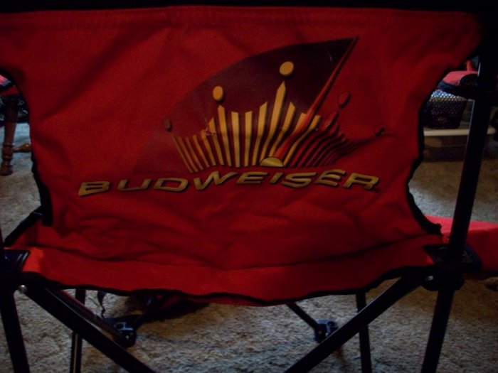 Budweiser Racing Dale Jr. 8 Nascar Folding Chair and Cooler Bag