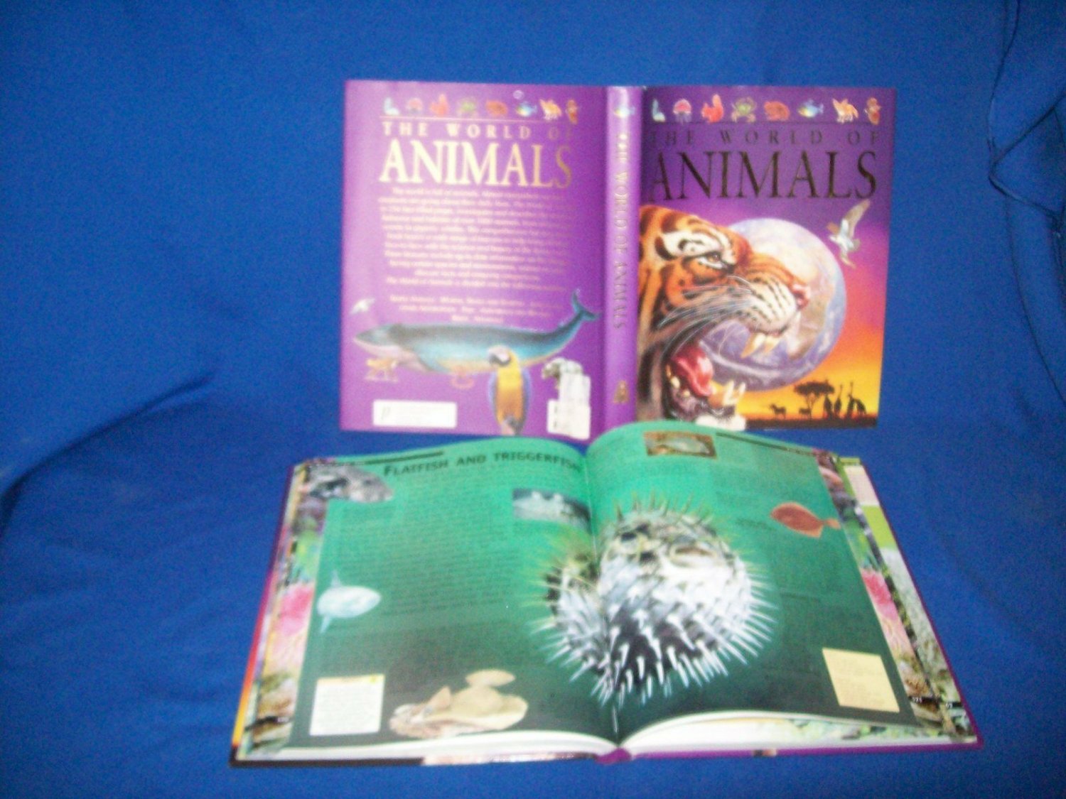 World of Animals (2003, Hardcover) Nature Book