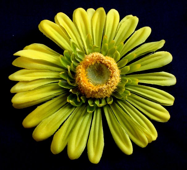 Simple Daisy - Lime Green