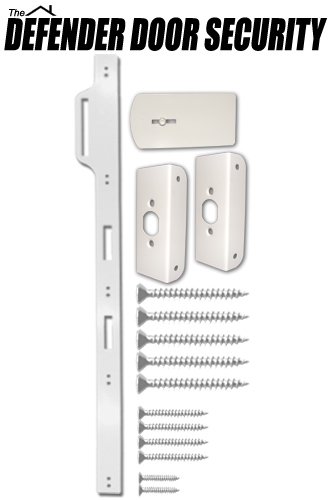 The Defender Door Security