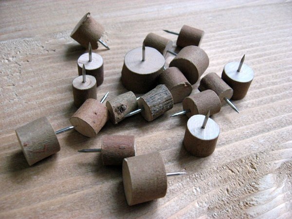 Wooden Head Thumbtack Push Pins (10 pieces/set)