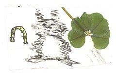 Cute Bunny Drawing w/ 4 Leaf Clover