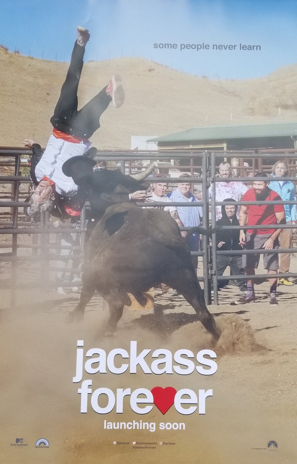 Jackass Forever Bull Original Movie Poster Double Sided 27 X40
