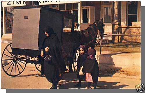 PENNSYLVANIA DUTCH COUNTRY, PA POSTCARD, Amish Family