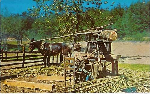 MULE MOLASSES RPPC Goldrush Junction Pigeon Forge TN