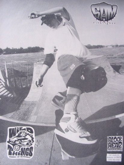BLOCKHEAD SKATEBOARDS Wild Things Sam Cunningham 80s Ad