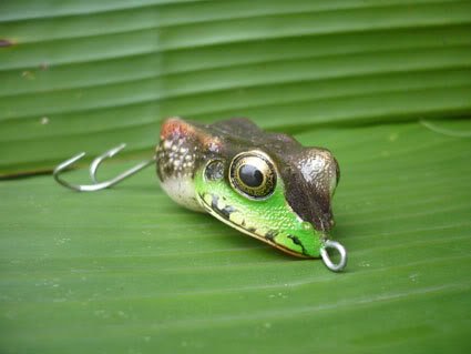 Handmade : Big Wonder Frog TopWater Fishing Lure