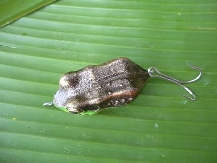 Handmade : Big Wonder Frog TopWater Fishing Lure