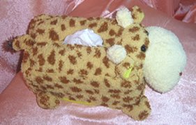 Set of Children Giraffe tissue box cover and hanging bag