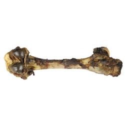 Kangaroo Femur Bone - Twin Pack