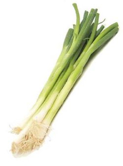 Organic Nebuka Evergreen Bunching Onion Seeds 25 Count