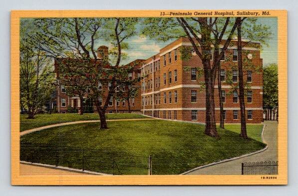 Salisbury Maryland Peninsula General Hospital Postcard (R-273)