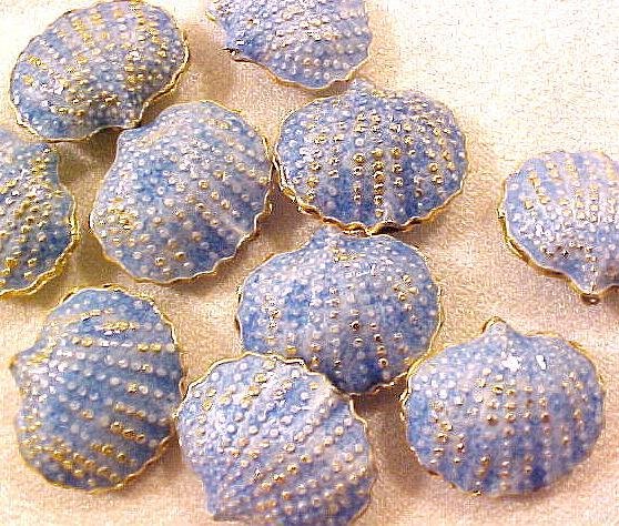 Seashell Clam Cloisonne Blue 3 Beads
