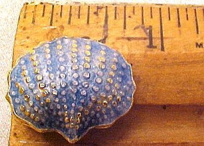 Seashell Clam Cloisonne Blue 3 Beads