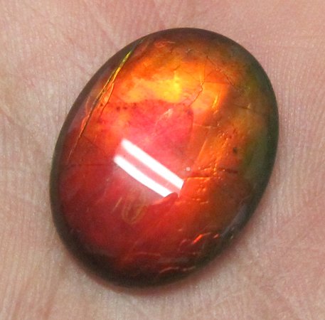 Red color Canadian ammolite 20x15mm ammonite natural gemstone