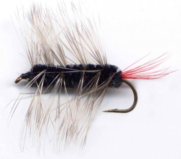 Black Wooly Worm Fly Fishing Fly - One Hook Size 12