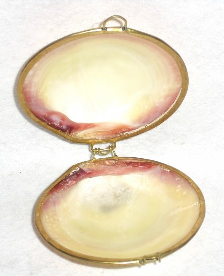 Unique Vintage Shell Trinket Box