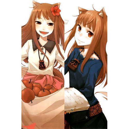 Spicy Wolf Dakimakura Hugging Body Pillow Cover N152