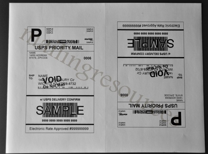 200 Shipping Labels PAYPAL USPS FEDEX UPS CLICK N SHIP Ebay