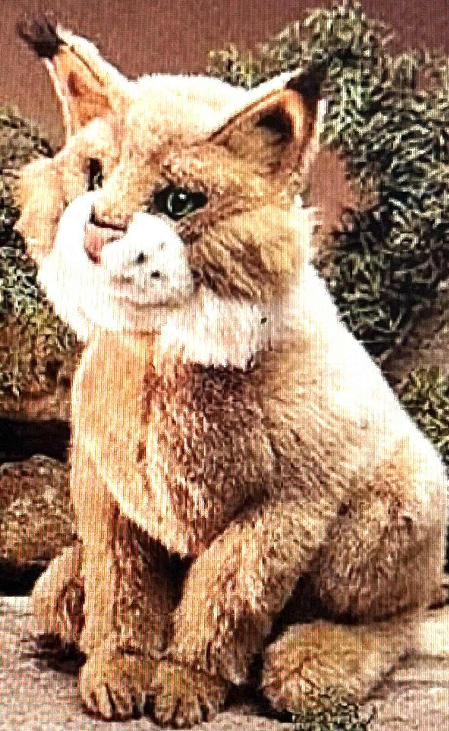 Folkmanis Bobcat Puppet Teaching Theatre More