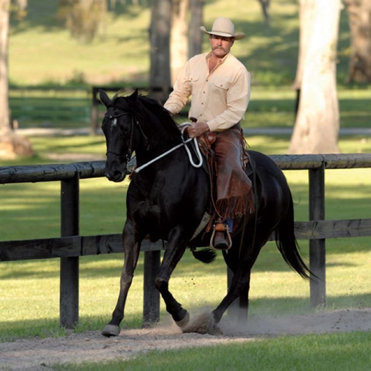 Parelli Patterns - Liberty - Natural Hosemenship Equine Training BRAND ...