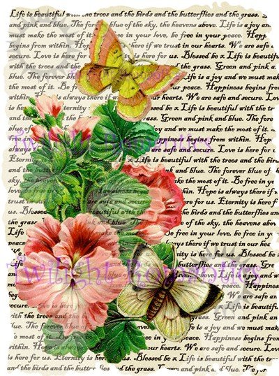 Shabby Chic Pink Butterfly Vintage Art Print 12x8 FREE SHIPPING