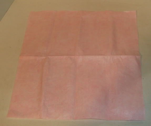 Cadie Window Washing Cloth, New,No Pkg,Sparkling Window