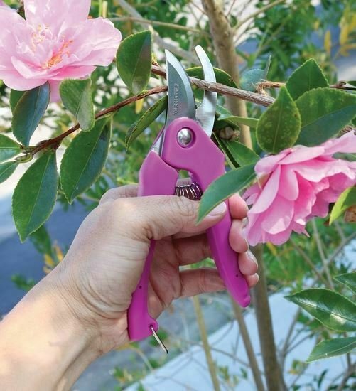 Lilac & Vine Capri Pruners Outdoor Garden Plant Hand Tool