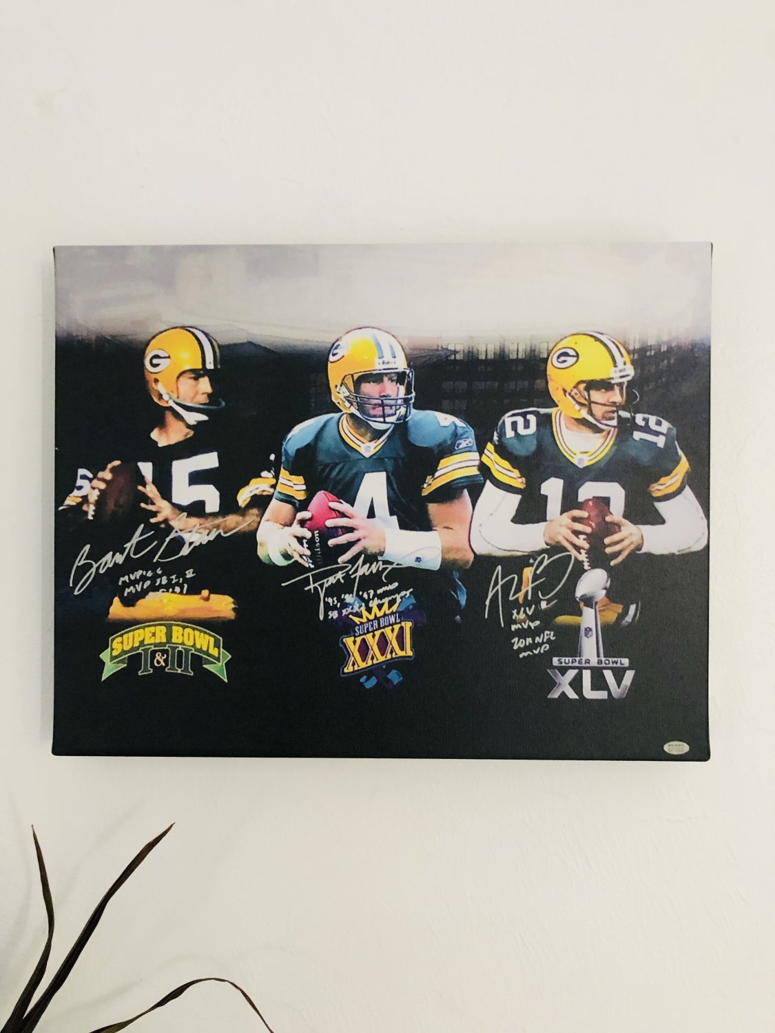 Green Bay Packers Quarterbacks Autograph Reprint 11x14 Canvas Wall Art