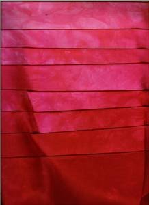 Fire Engine Red Eight Step Gradations