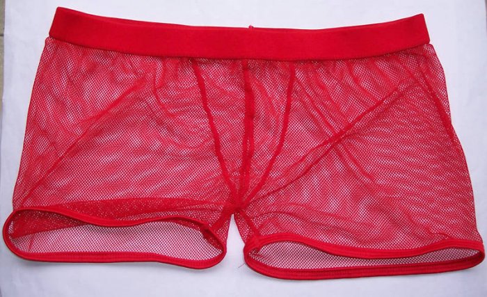 K340 MEN FISH NET BOXER BRIEF C-THRU Red