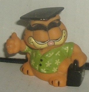 GARFIELD vinyl Figure GRAD Graduate Hawaii luggage
