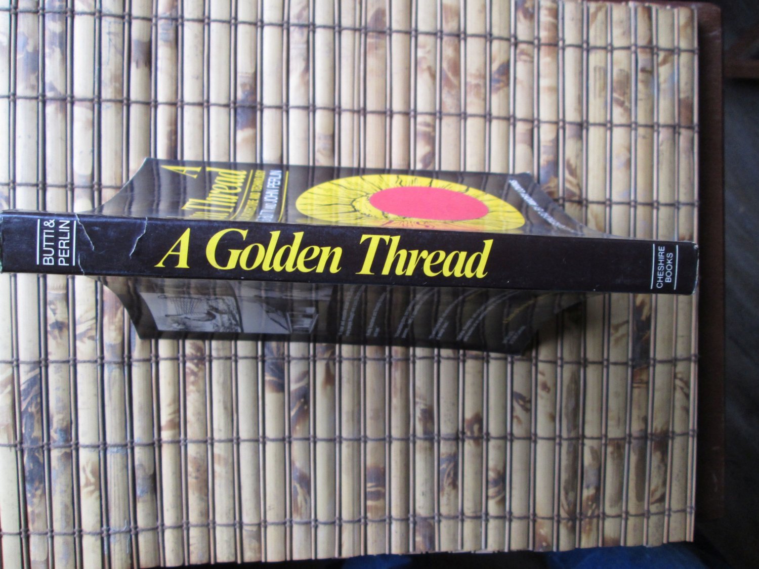 Golden Thread 2500 Years of Solar Architecture and Technology by Ken ...