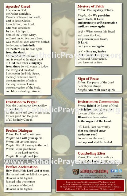 **LARGE PRINT** Mass Pew Cards WITH NEW TRANSLATIONS #MC85X55-LARGE