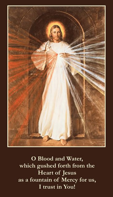 *LARGE* Divine Mercy Prayer Card PC-212L