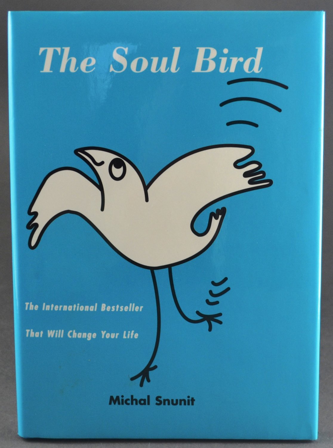 The Soul Bird by Michal Snunit HB