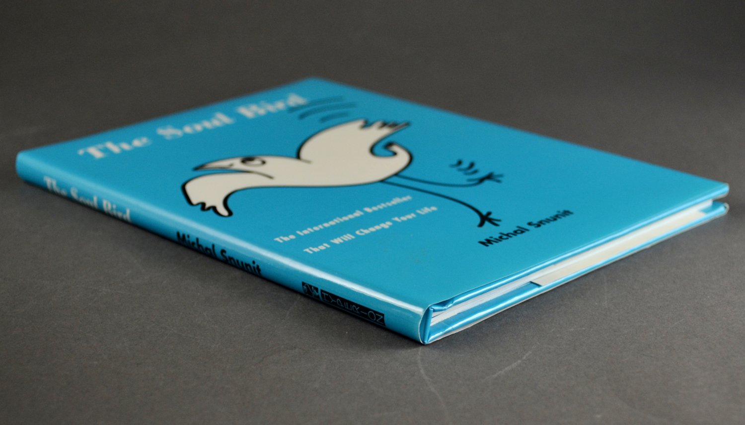 The Soul Bird by Michal Snunit HB