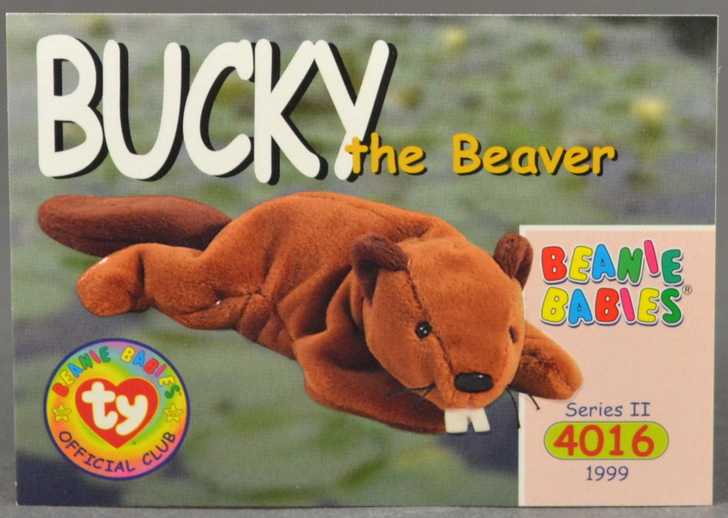 1999 Bucky the Beaver #158 Trading Card Ty Beanie Babies Series II