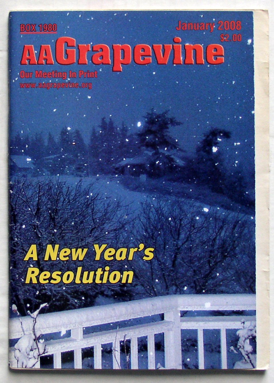 AA Grapevine Magazine January 2008 Vol. 65 No. 1 (sic)