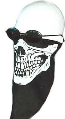Skull Mask Biker Masks Motorcycle Face Protection Bugs