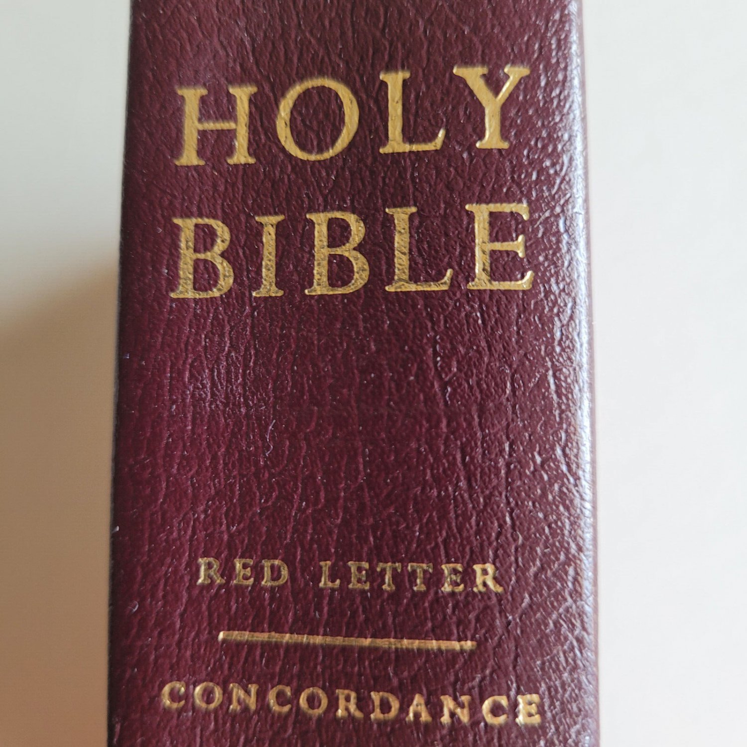 Holy Bible NIV Red Letter Concordance New Scofield Study System Oxford ...