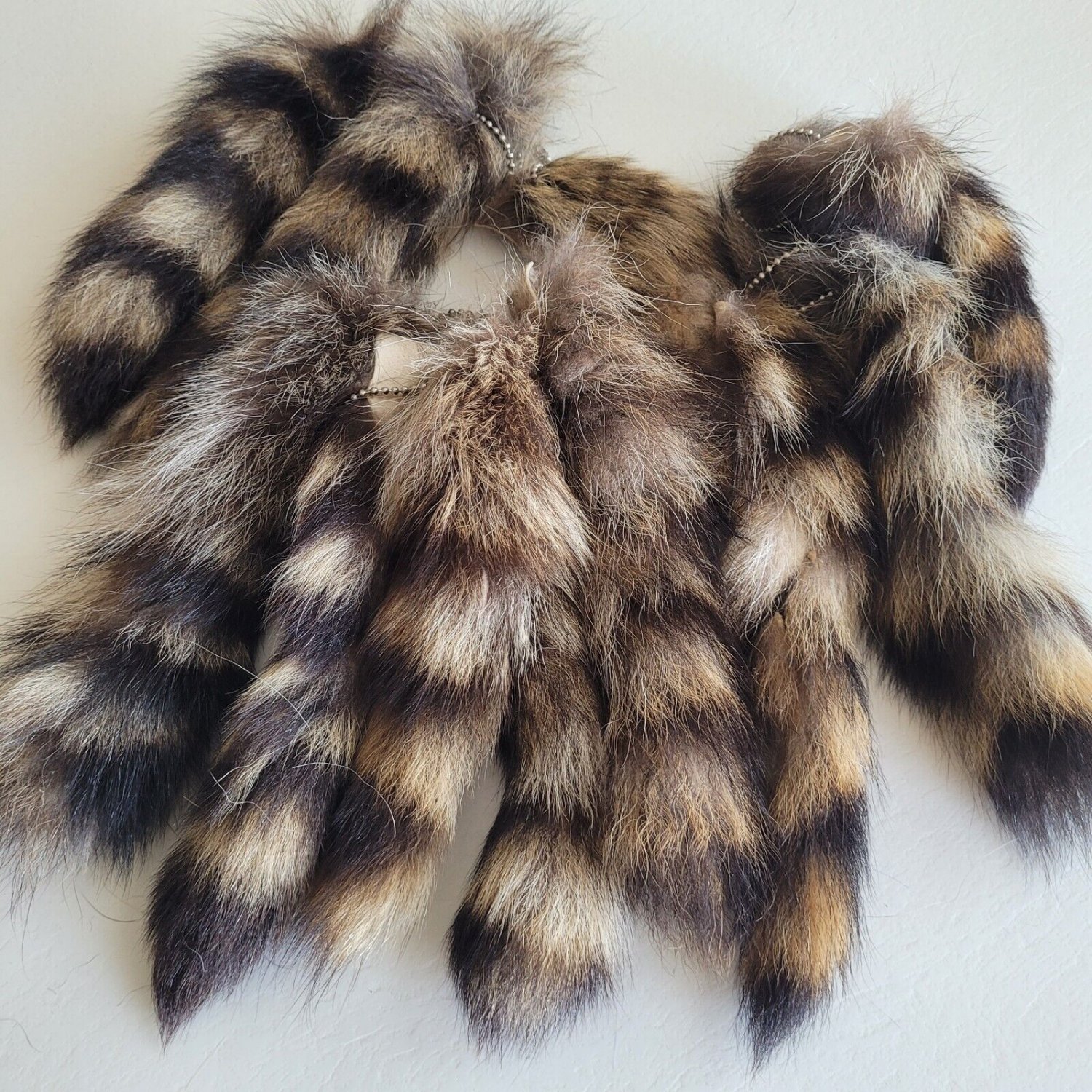 Raccoon Tail Keychain Coon Tails Natural Real Genuine Large On Chain 5 ...