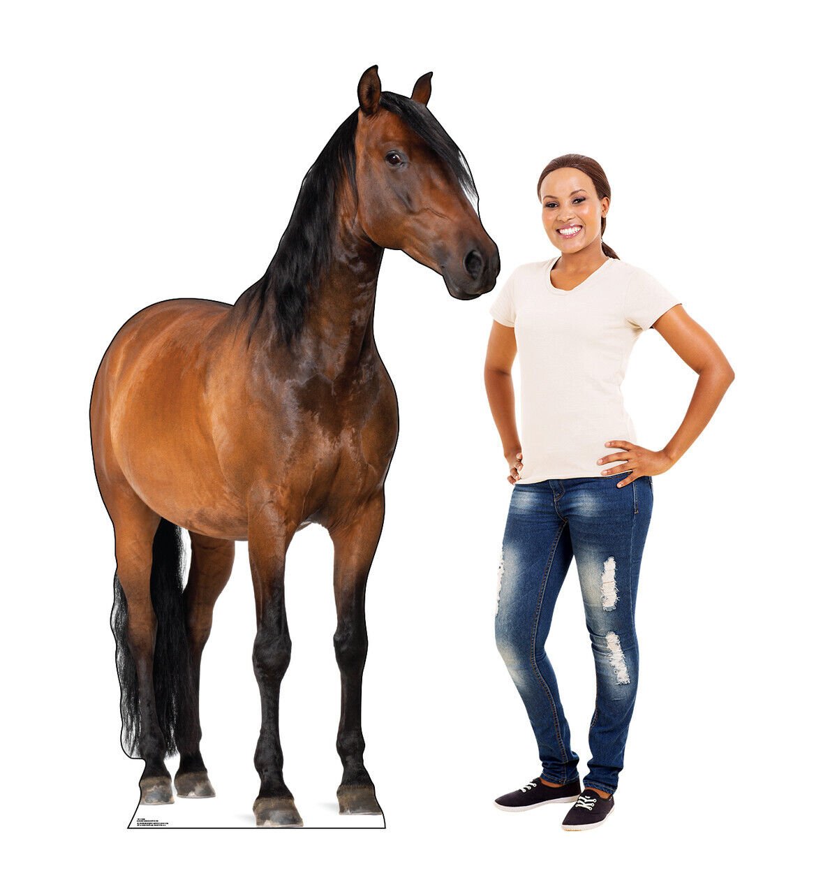 HORSE Lifesize Standup Standee Cardboard CutOut Prop Thoroughbred Large ...