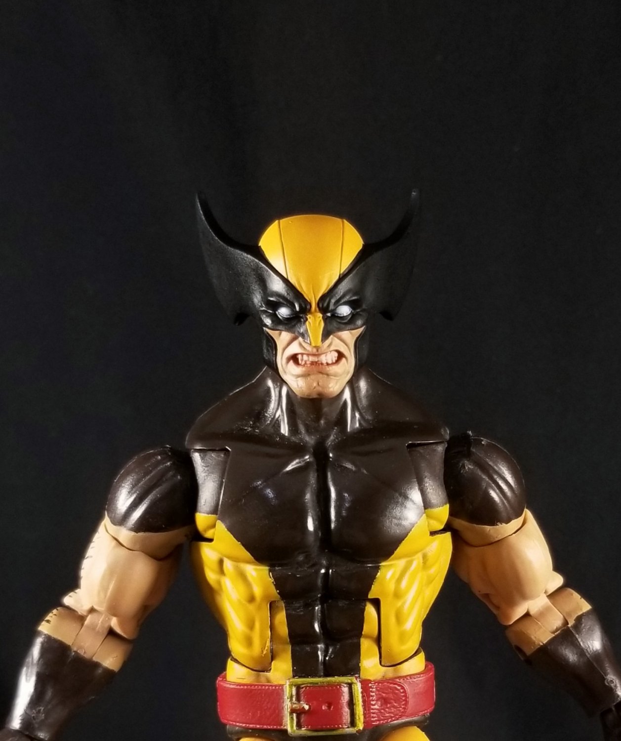 (Bad_Koala)Angry Wolverine Head(Hand Painted, Head Only, Fitted For ...
