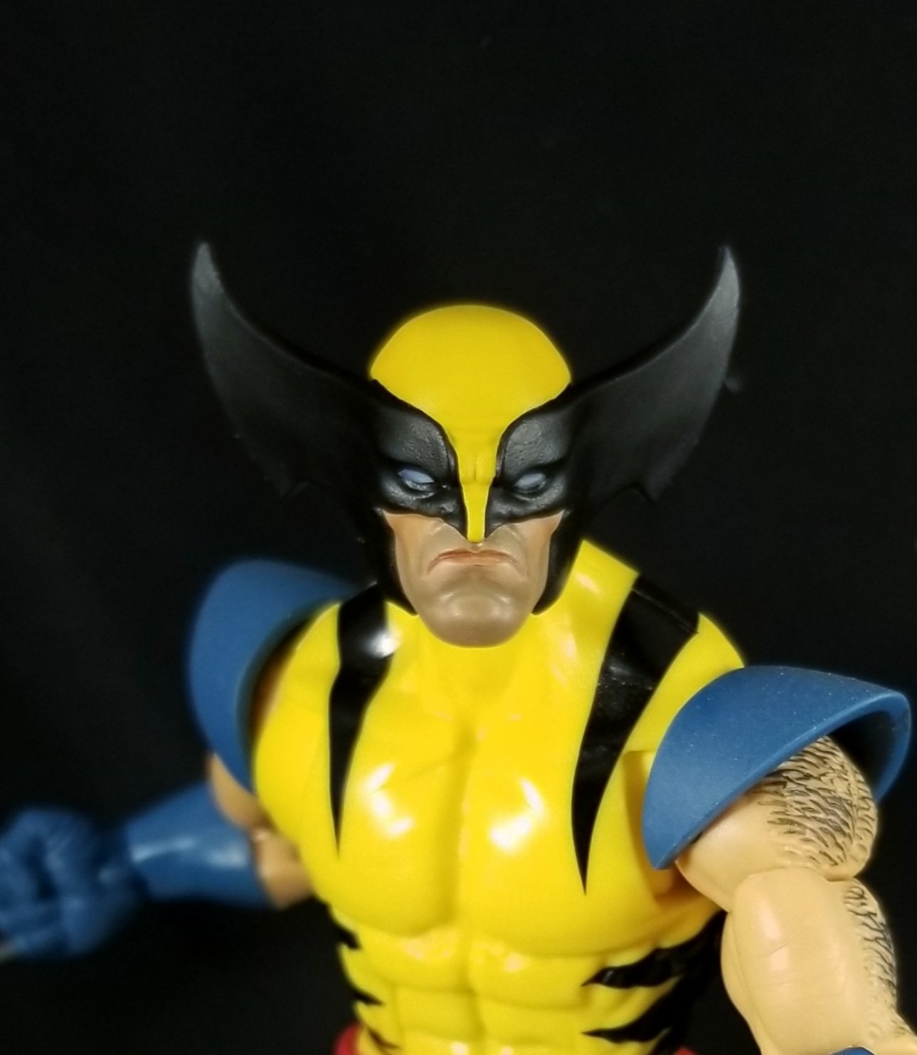 (Orobus)Wolverine Head(Hand Painted, Fitted for Legends, Head Only)