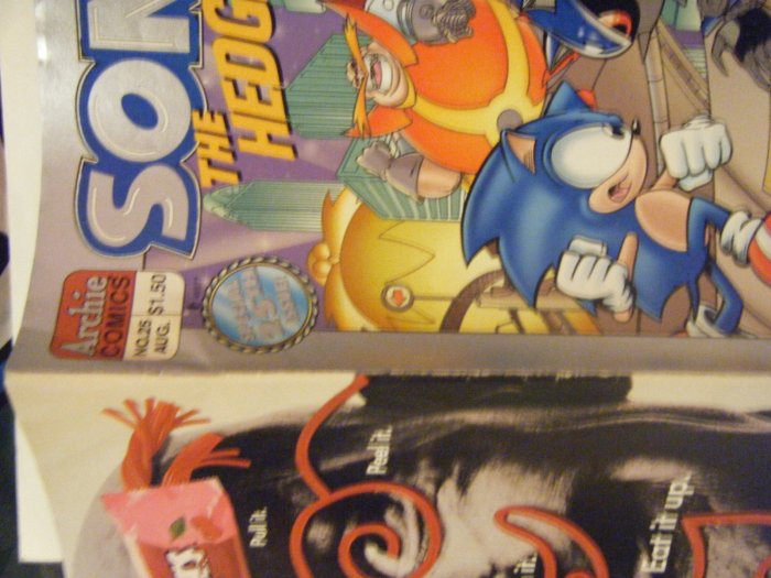 Sonic the Hedgehog 25