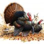WiLd Turkey Pair Cross Stitch Pattern***LOOK***