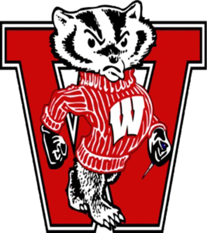 Wisconsin Badger Cross Stitch Pattern***LOOK***