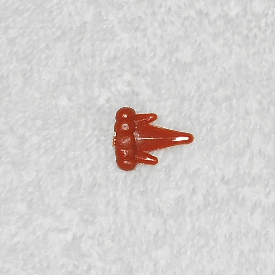 Small Fist Dagger From Shredder - TMNT Teenage Mutant Ninja Turtles ...