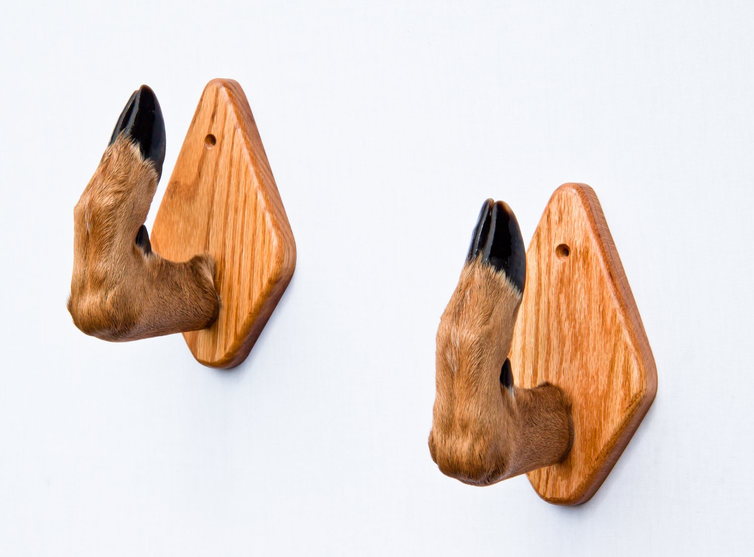 Oak Deer Feet Gun Rack Hoof Foot Hooves